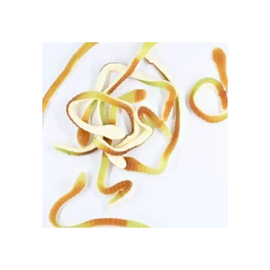 Gummy Pythons 2kg Bag | Snack Circus INC